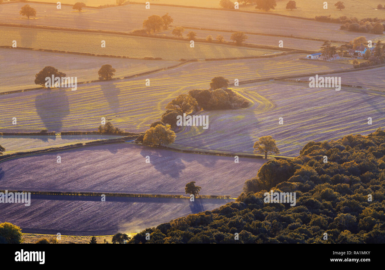 Aerial view of British countryside fields in warm sunset light Stock ...
