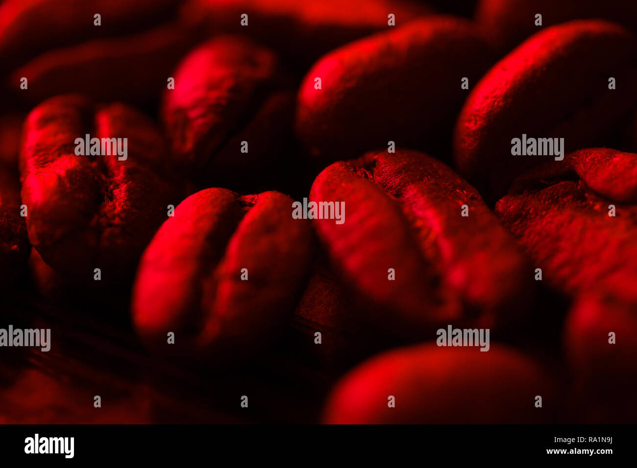 Roasted coffee bean close up in neon light Stock Photo - Alamy