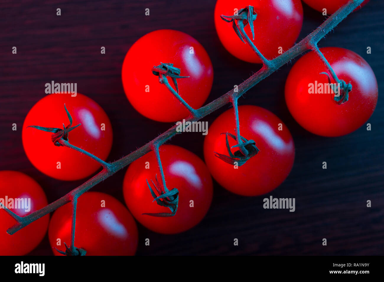 Cherry tomatoes close up in neon light Stock Photo - Alamy