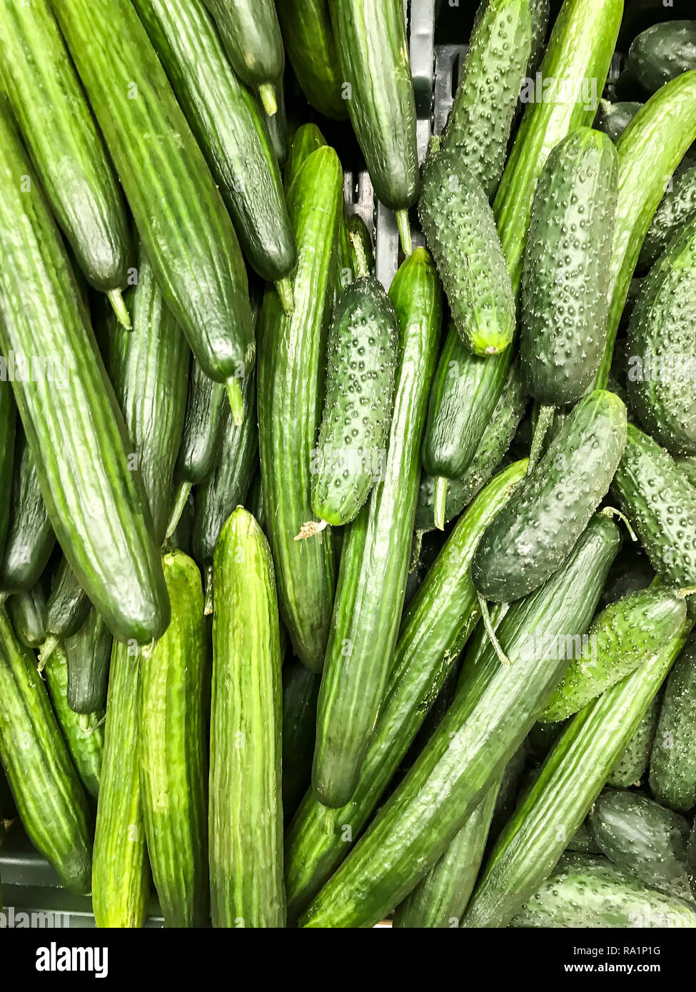 Vegetable background, texture, green cucumbers in supermarket. Studio ...