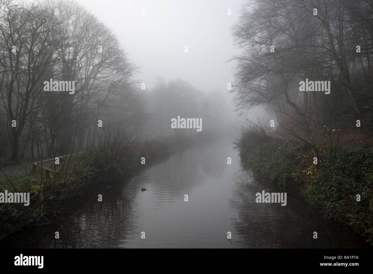 Foggy winter morning at Etherow country park, Compstall, Stockport ...