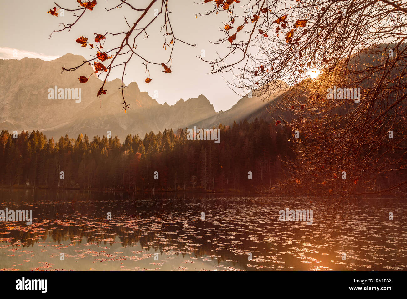 october afternoon at the lake during a colorful autumn Stock Photo - Alamy