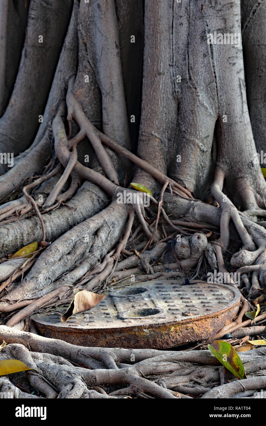 Jallianwala bagh massacre hi-res stock photography and images - Alamy