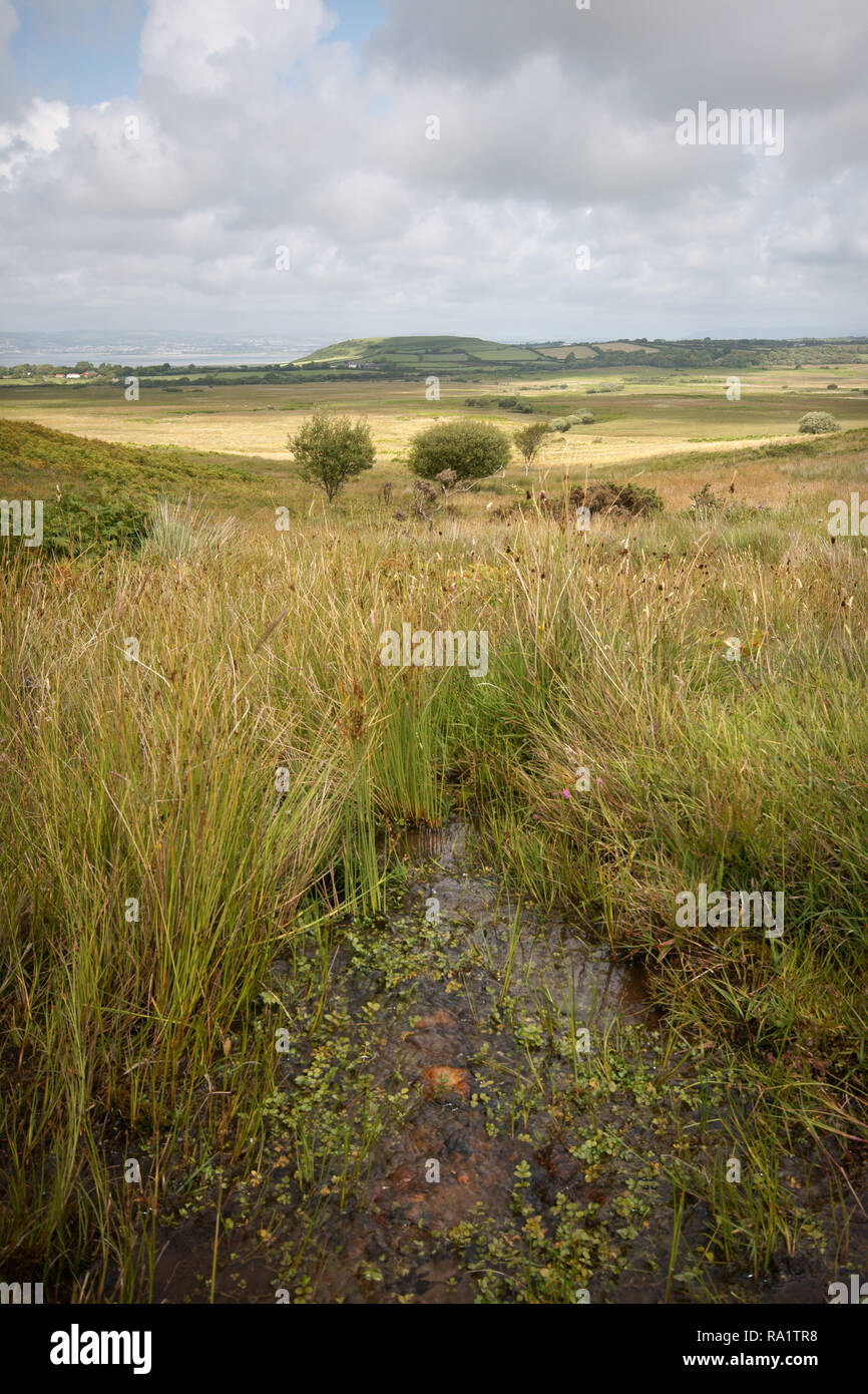 Bryn hi-res stock photography and images - Alamy
