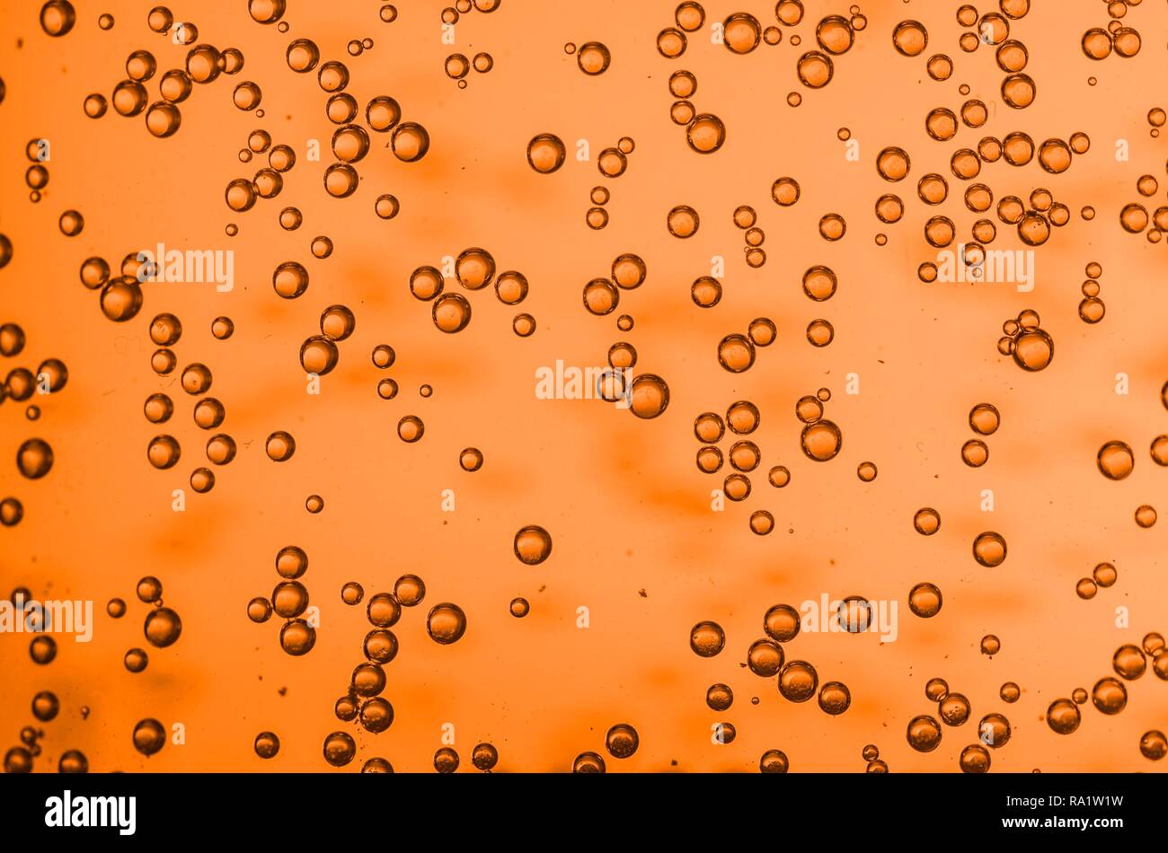 Green carbonated water in glass hi-res stock photography and images - Alamy