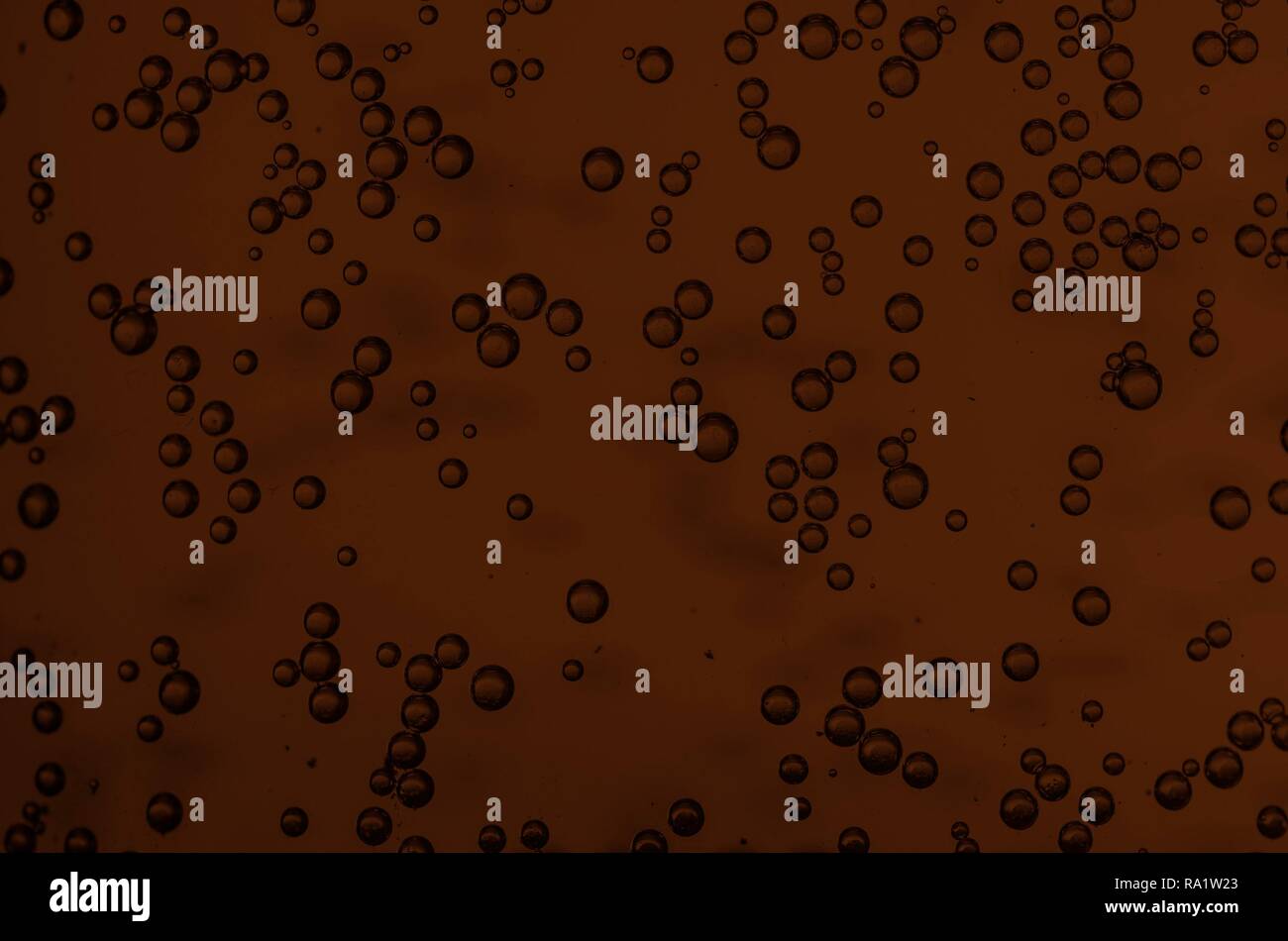 Close-up of bubbles in carbonated liquid Stock Photo - Alamy