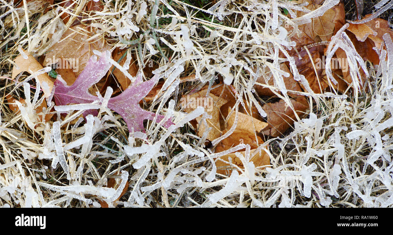 Extreme colors hi-res stock photography and images - Alamy