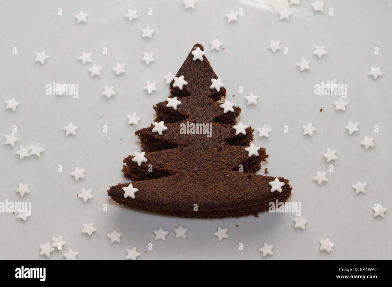 Christmas Tree Chocolate Cake