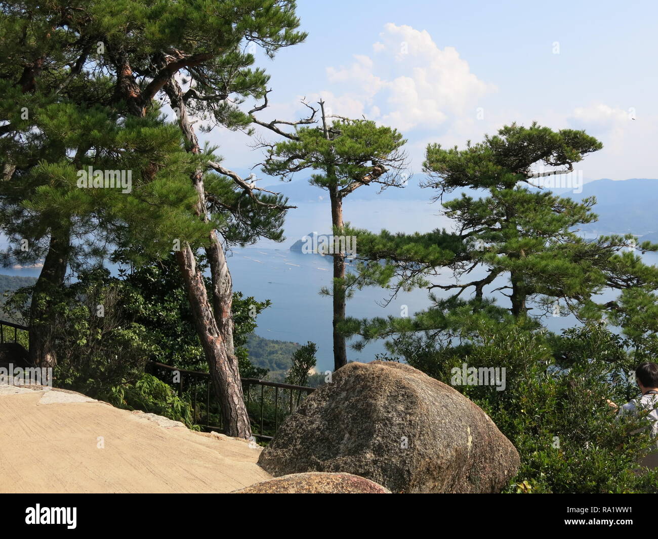 Mount misen forest hi-res stock photography and images - Alamy