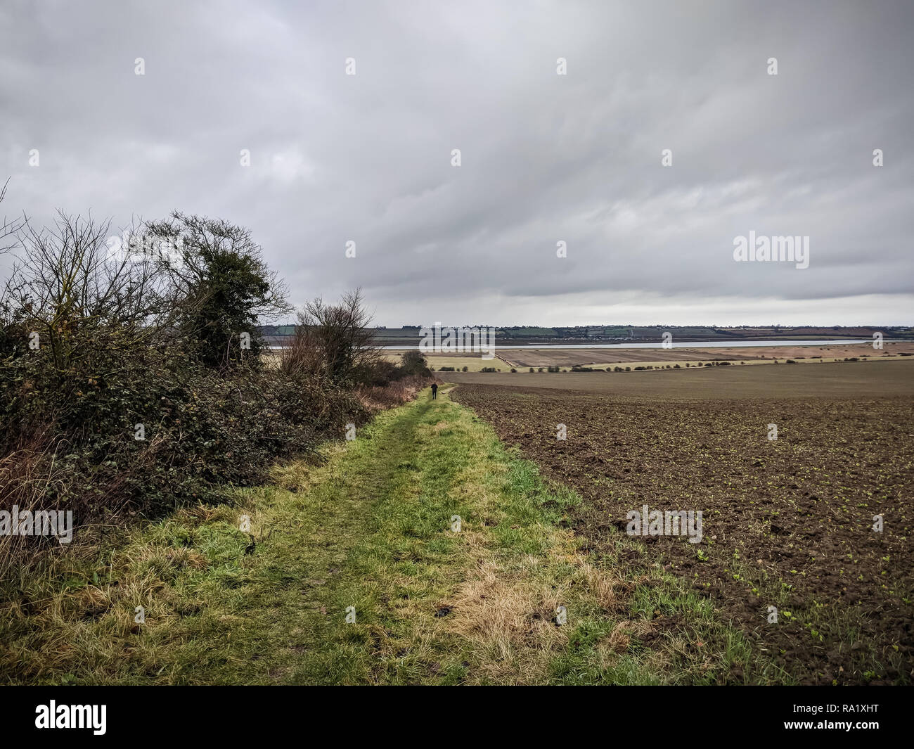 Grey landscape with muddy famland, Essex, UK Stock Photo - Alamy