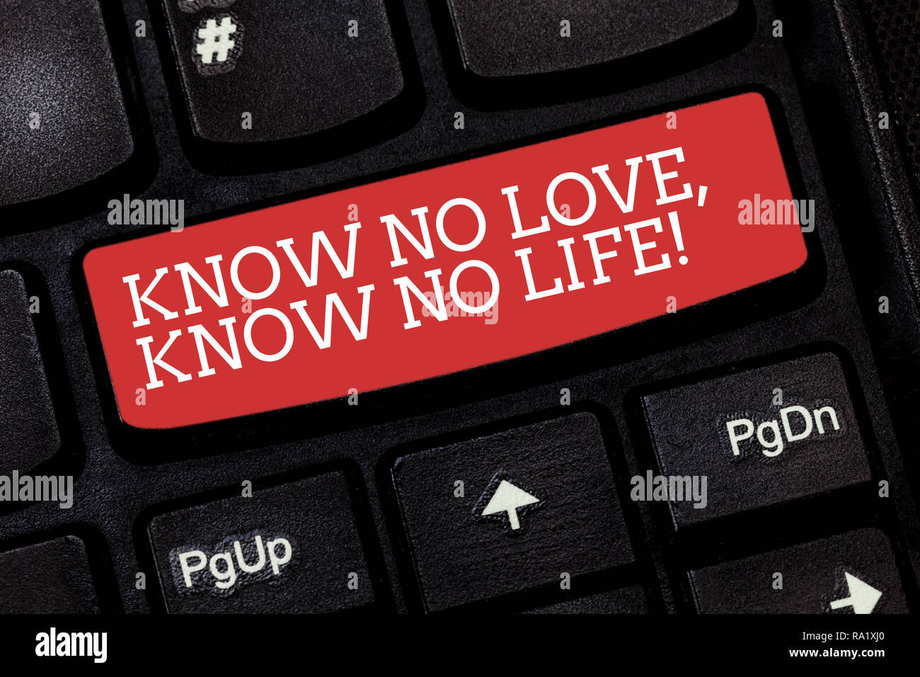 No Love No Life Wallpapers