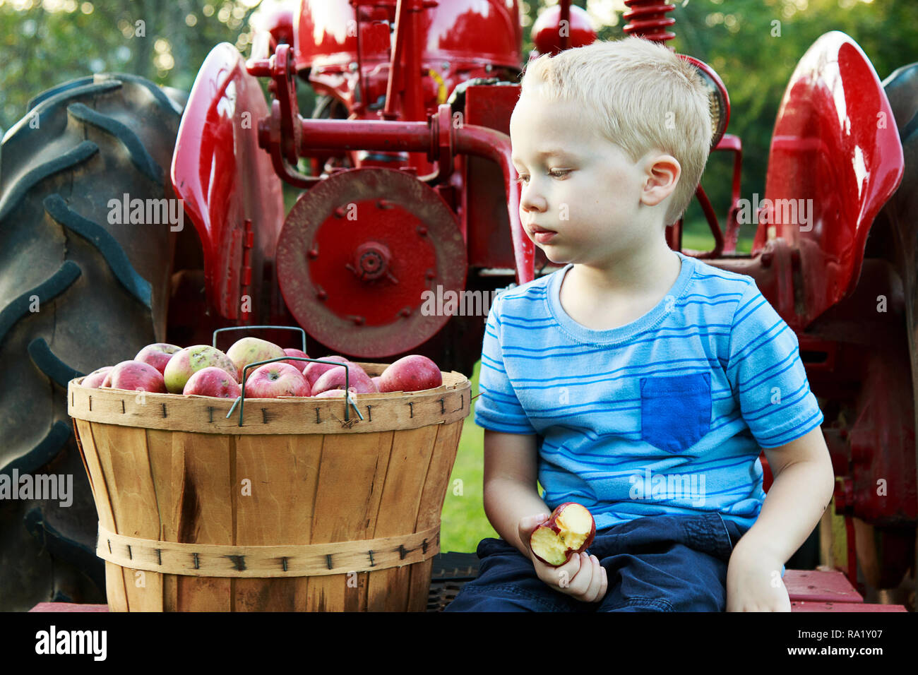 Apple farm picking hi-res stock photography and images - Alamy