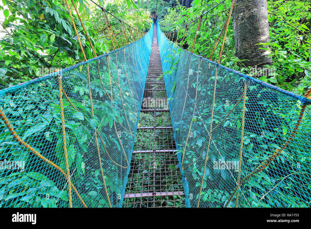 Swingy bridge hi-res stock photography and images - Alamy