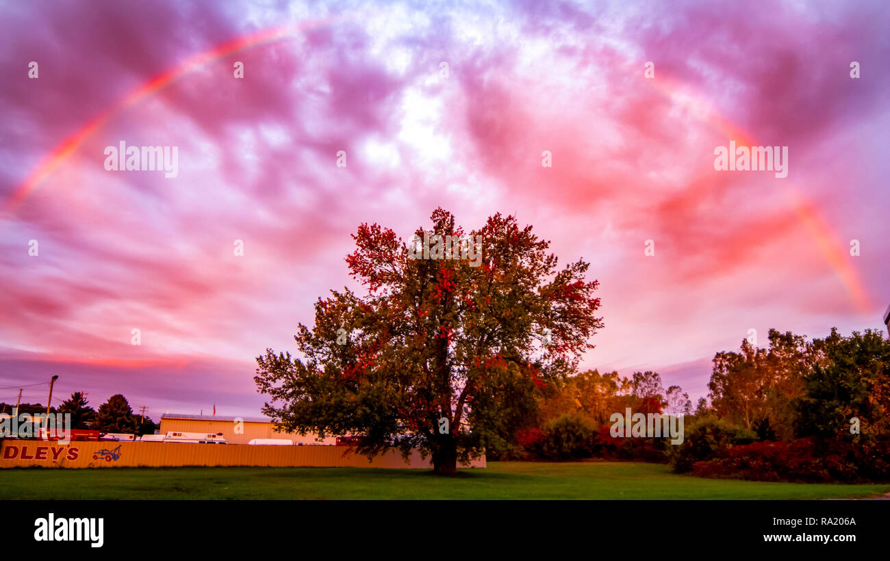 A rainbow appears above a tree after the autumn storm breaks at sunrise ...