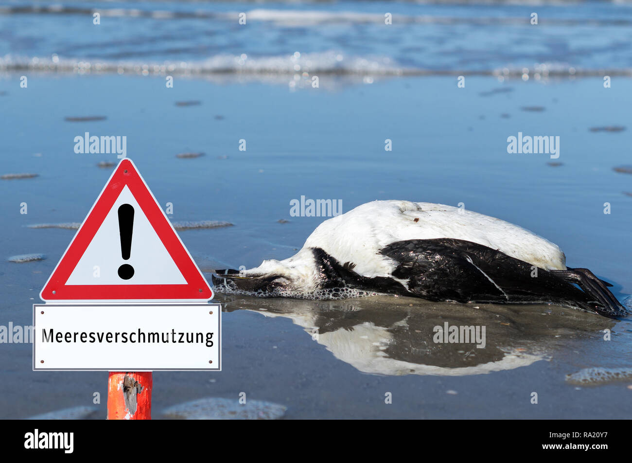 Marine pollution the oceans environment Stock Photo - Alamy