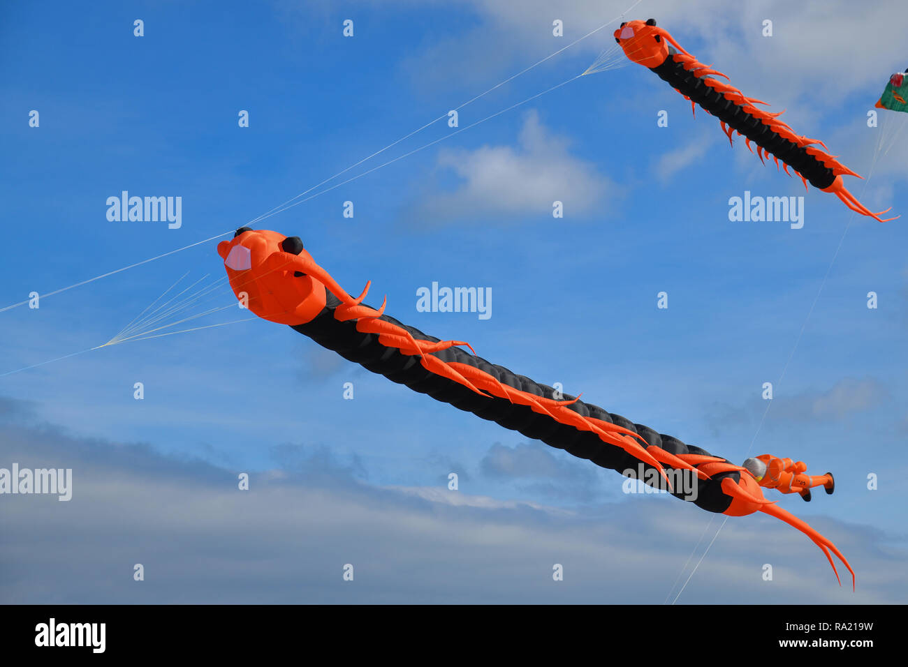 Kite flying caterpillar flying against the sky Stock Photo - Alamy