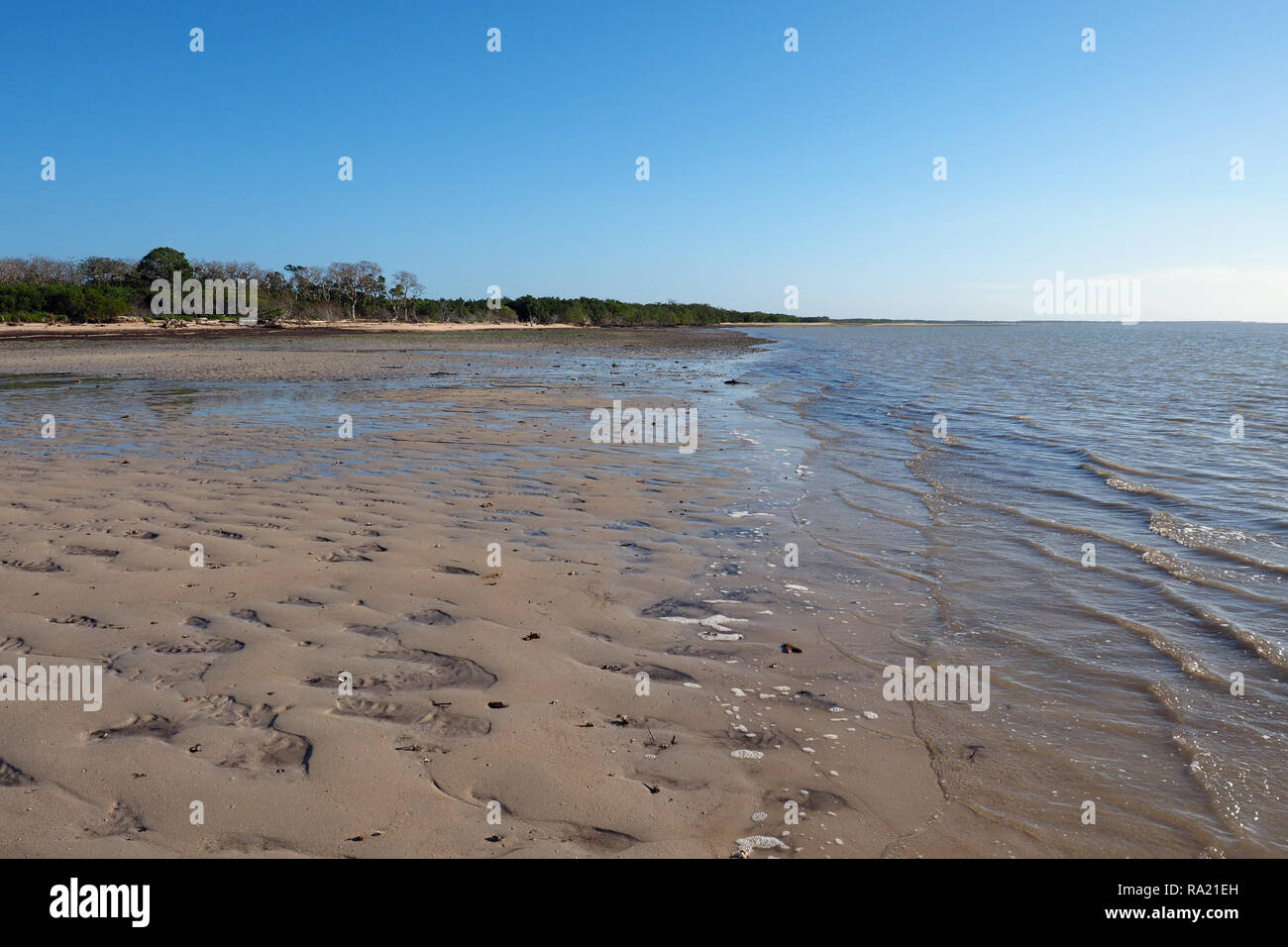 East cape sable hi-res stock photography and images - Alamy