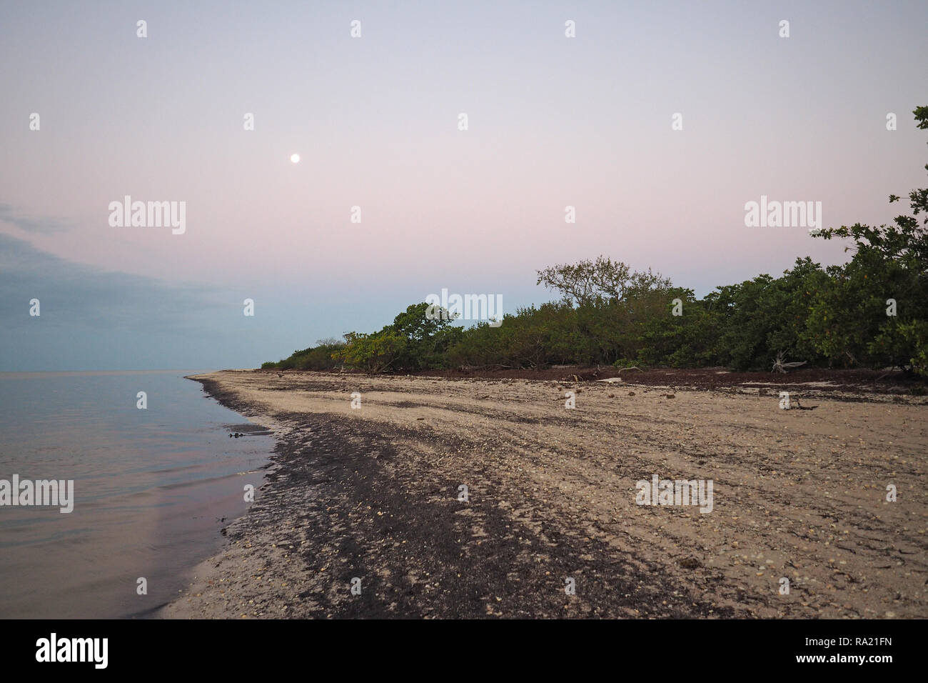 East cape sable hi-res stock photography and images - Alamy