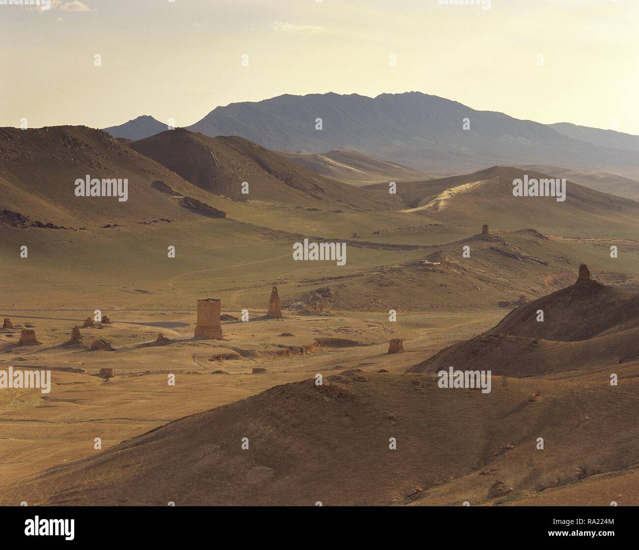 Syria. The Oasis of Palmyra. Valley of the Tombs. Panoramic view ...