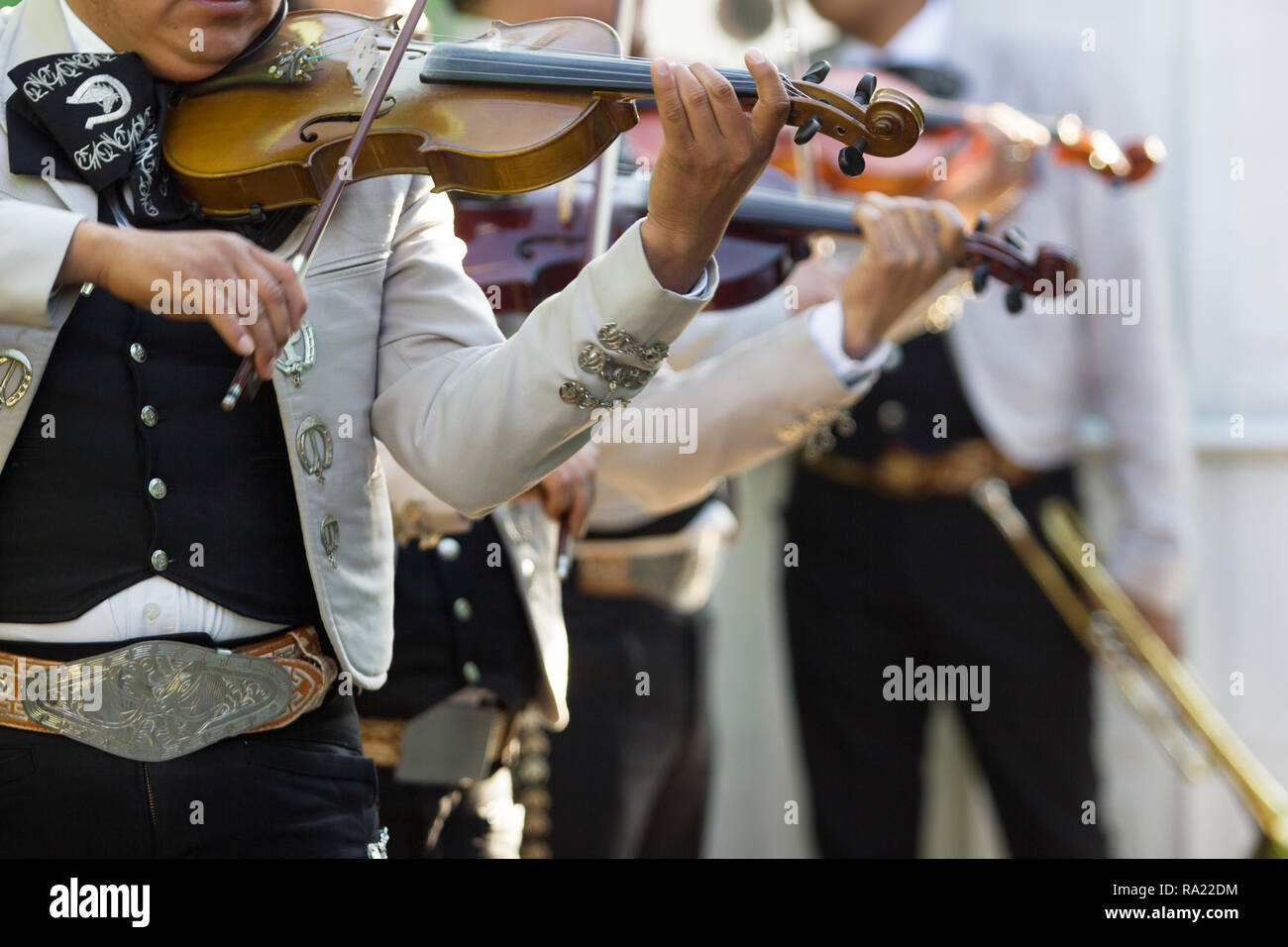 Mexican mariachi with white traditional costumes playing the violins at ...