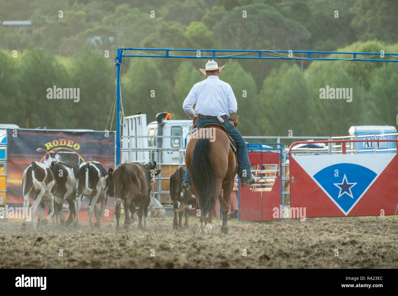 Cowboy horse round up hi-res stock photography and images - Alamy
