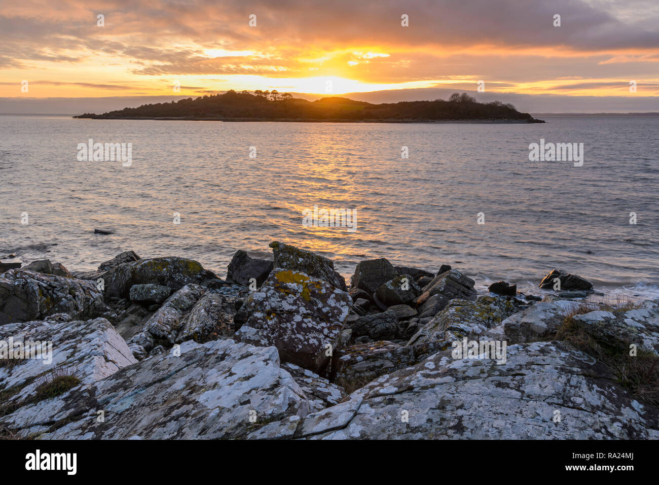 Ardwall Island from Carrick shore, Dumfries & Galloway, Scotland Stock ...