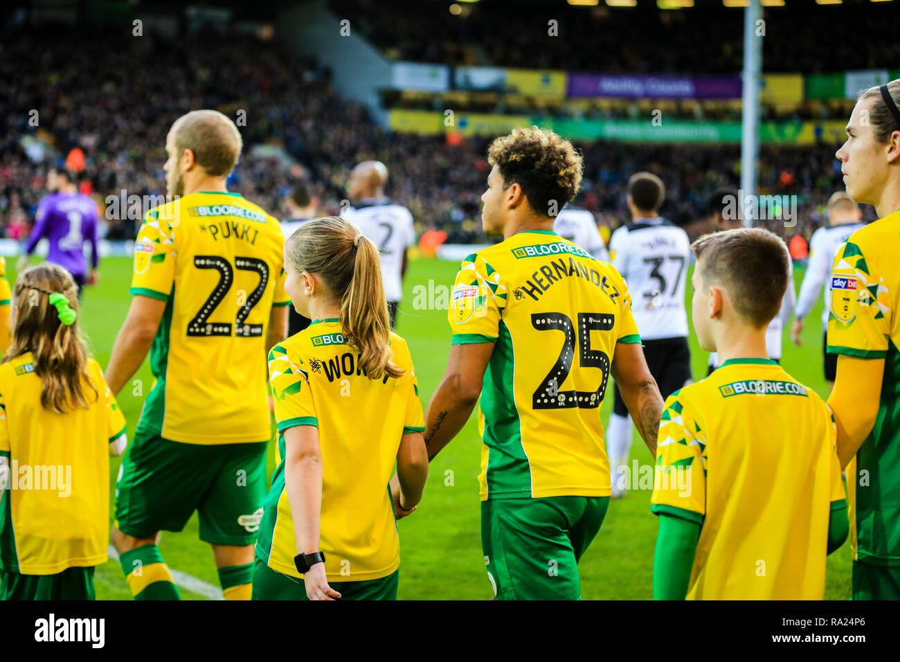 Norwich city mascot hi-res stock photography and images - Alamy