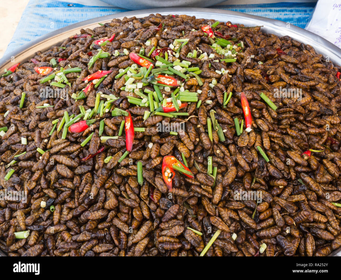 Grubs High Resolution Stock Photography and Images - Alamy