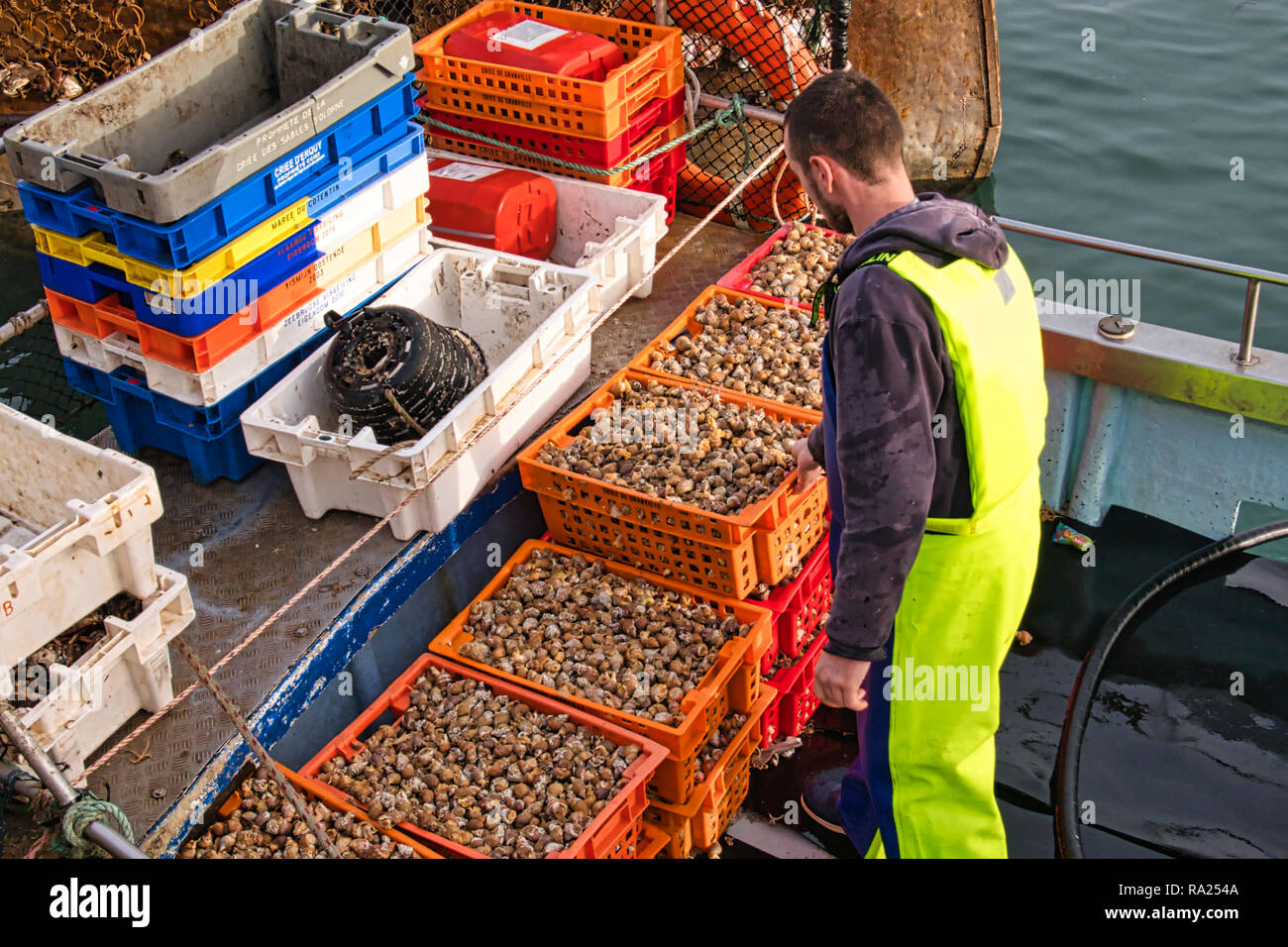 Unloading fish boxes from fishing hi-res stock photography and images ...