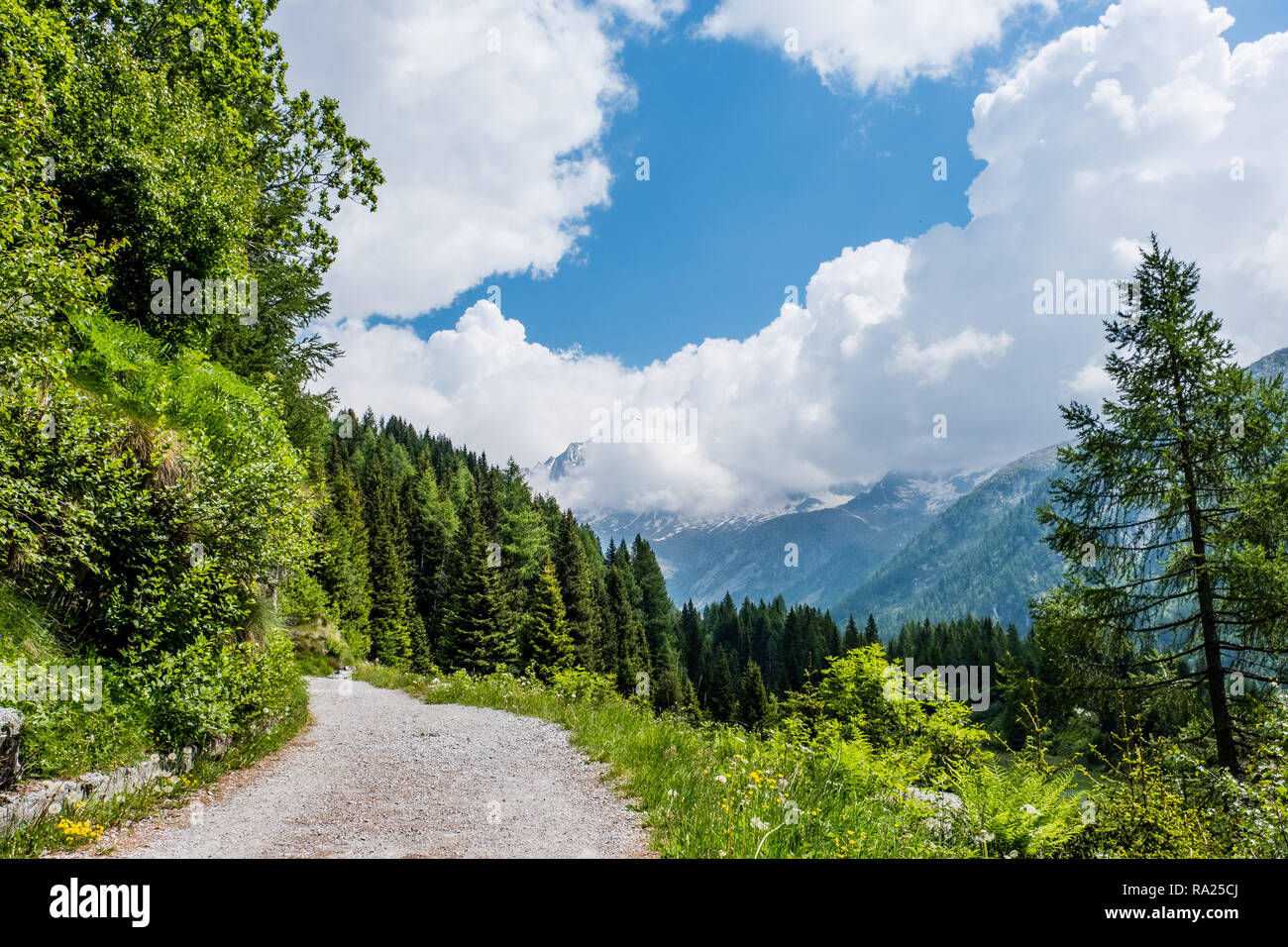 road in val di fumo Stock Photo - Alamy