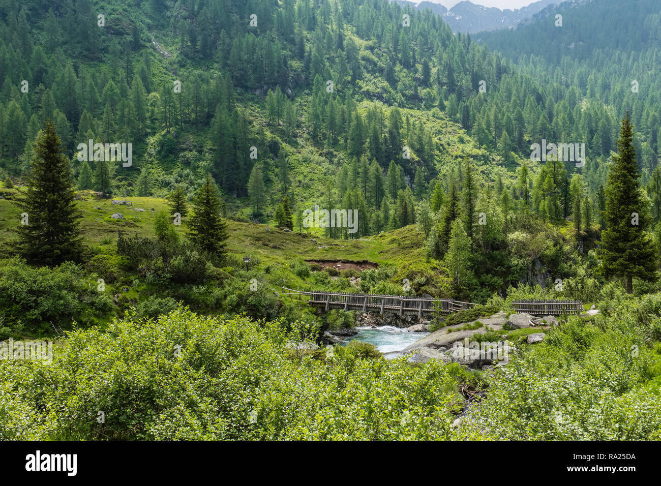 pedastrian bridge over an alpine river in italy Stock Photo - Alamy