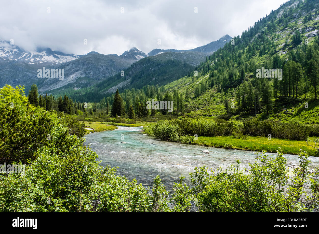 Crystal river preserve hi-res stock photography and images - Alamy