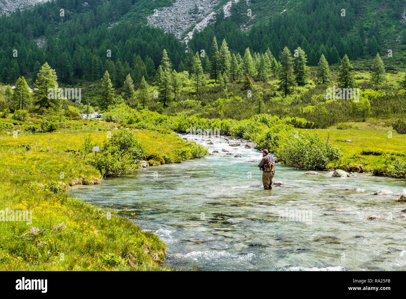 man fishing on a alpine river on the italian alps Stock Photo - Alamy
