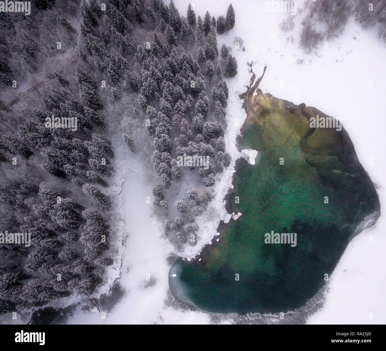 Forest lake dark water hi-res stock photography and images - Alamy