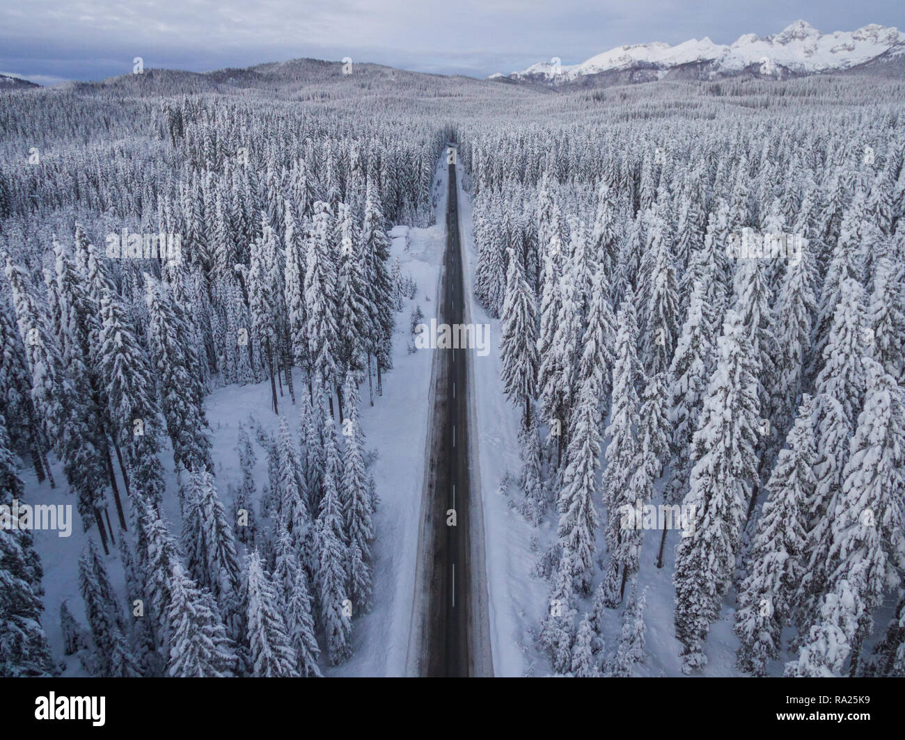Aerial drone view of road in idyllic winter landscape. Street running ...