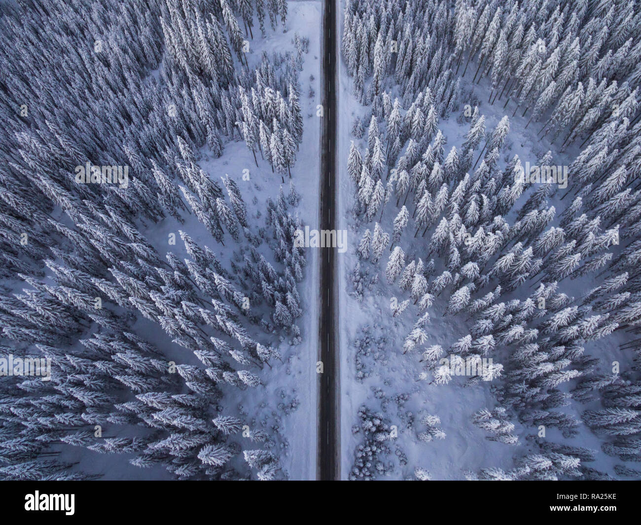 Drone flight through snowy forest hi-res stock photography and images ...