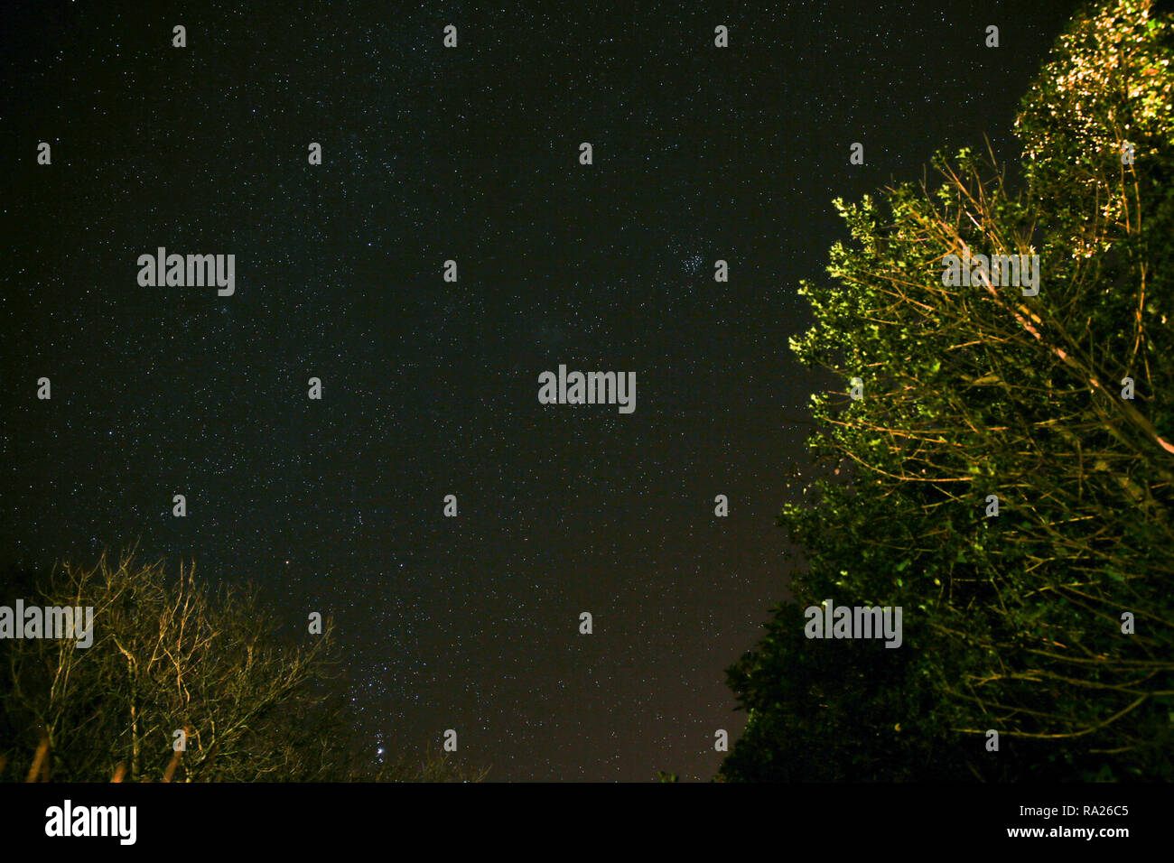 Taurus orion constellation hi-res stock photography and images - Alamy