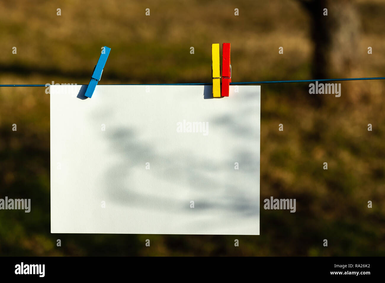 Coloured pegs and paper Stock Photo - Alamy