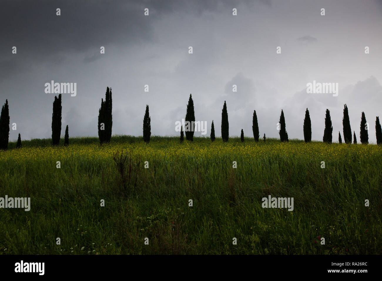 Iconic tuscan landscape hi-res stock photography and images - Alamy