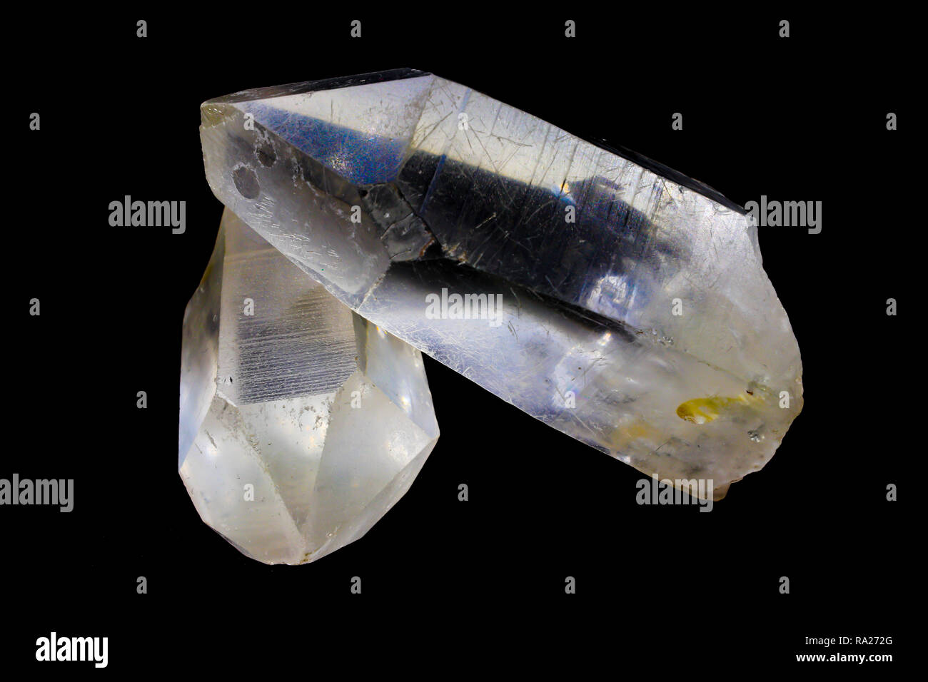 Lemuria hi-res stock photography and images - Alamy