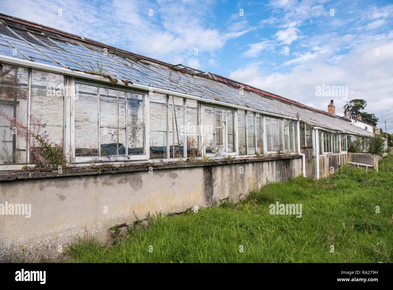 Old, abandoned greenhouse with broken glass panes and windows Stock ... Old, abandoned greenhouse with broken glass panes and windows Stock ...