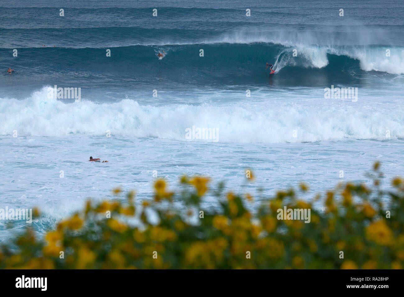 Surfing at Ho'okipa Beach Park, Maui, Hawaii Stock Photo - Alamy