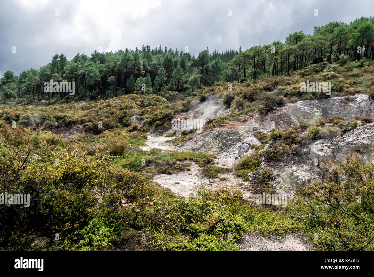 Waiotapu Thermal Wonderland - New Zealand Stock Photo - Alamy