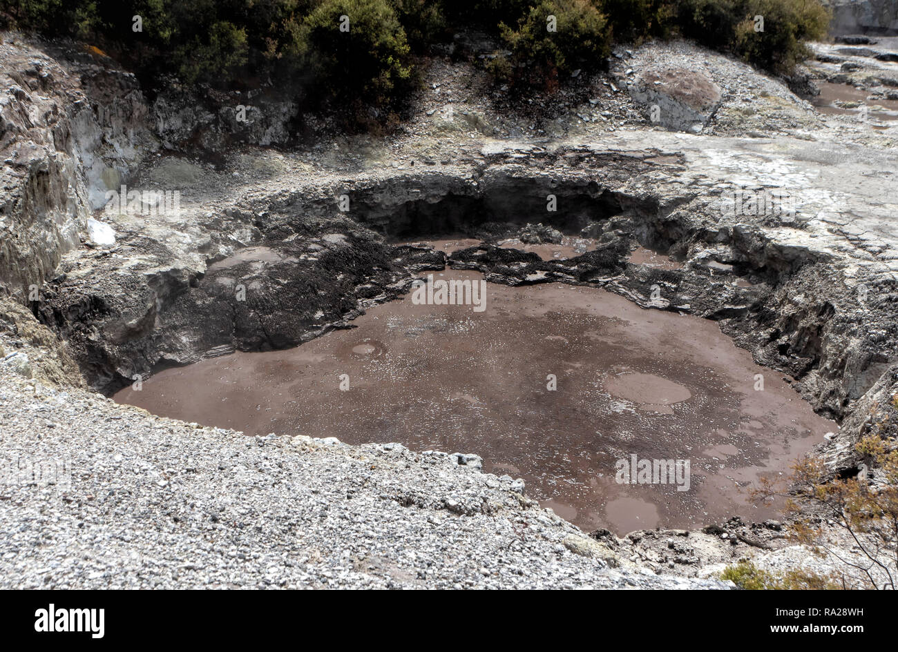 Waiotapu Thermal Wonderland boiling mud - New Zealand Stock Photo - Alamy