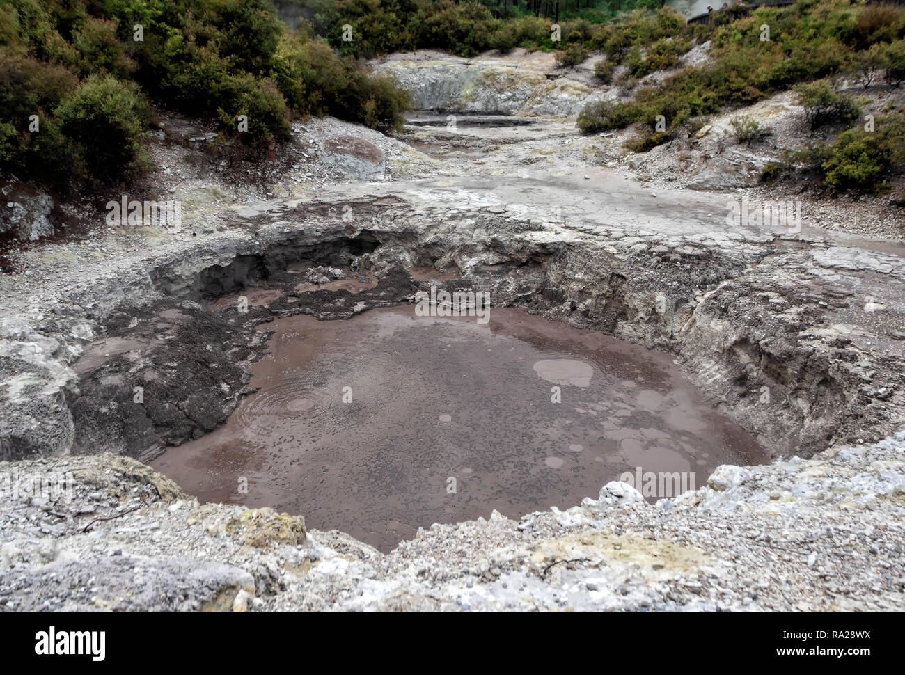 Waiotapu Thermal Wonderland boiling mud - New Zealand Stock Photo - Alamy