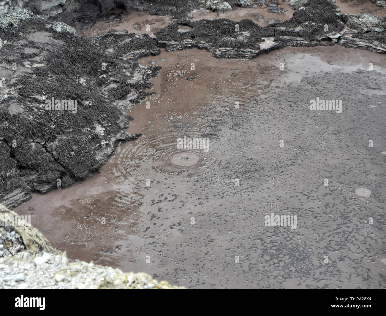 Taupo volcanic zone boiling mud hi-res stock photography and images - Alamy