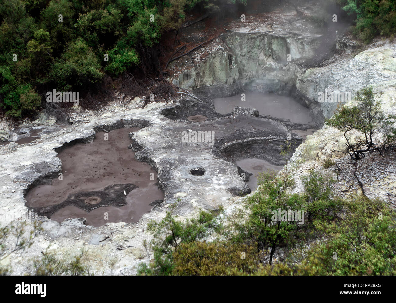 Waiotapu Thermal Wonderland boiling mud - New Zealand Stock Photo - Alamy