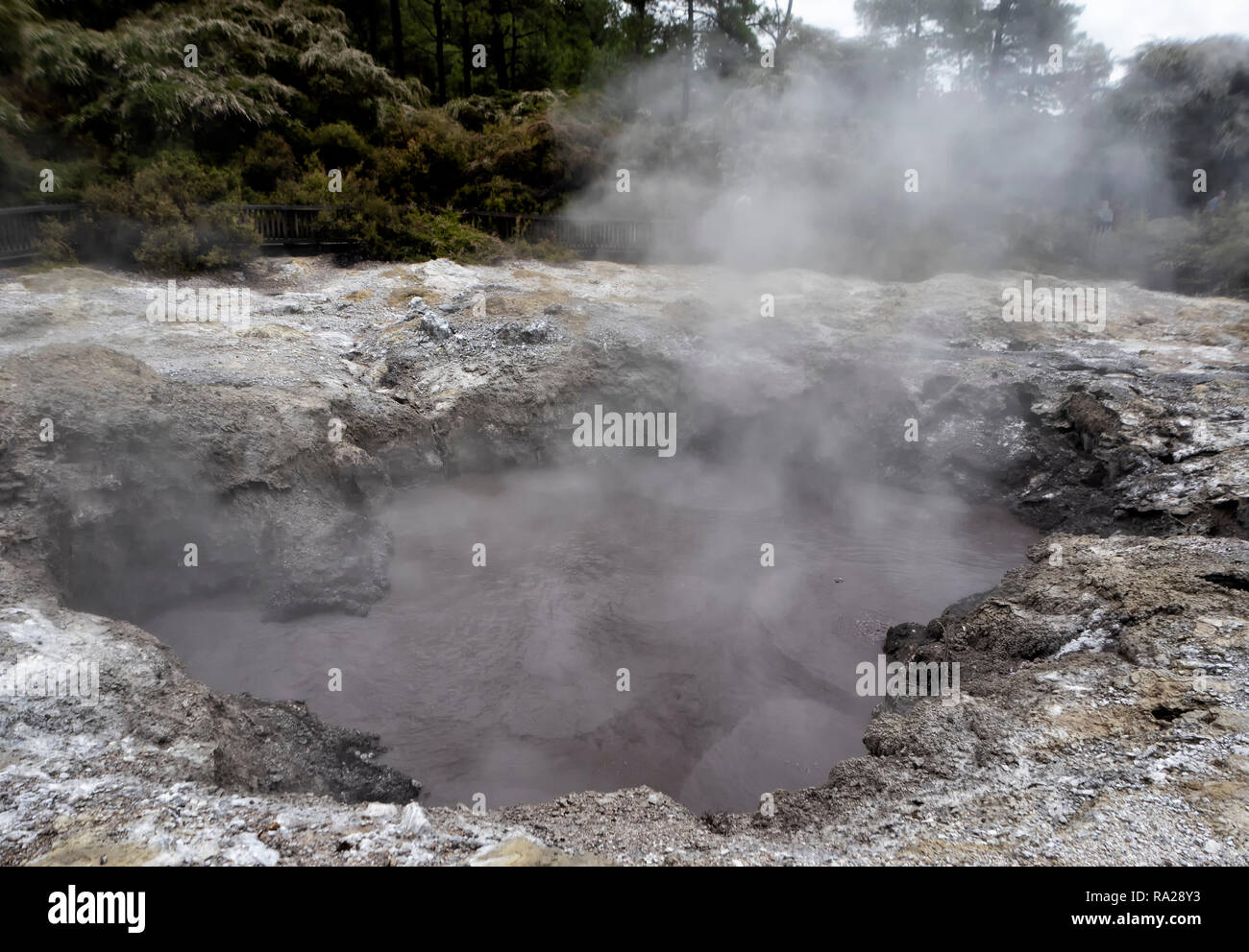 Waiotapu Thermal Wonderland boiling mud - New Zealand Stock Photo - Alamy