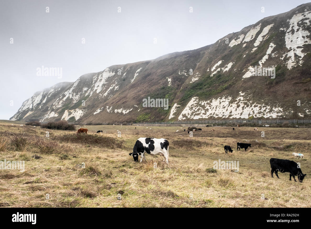 Kent nature reserve hi-res stock photography and images - Alamy