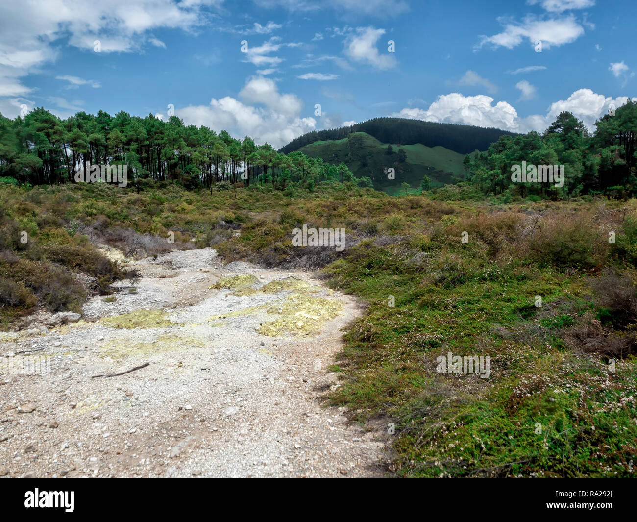 Waiotapu Thermal Wonderland - New Zealand Stock Photo - Alamy